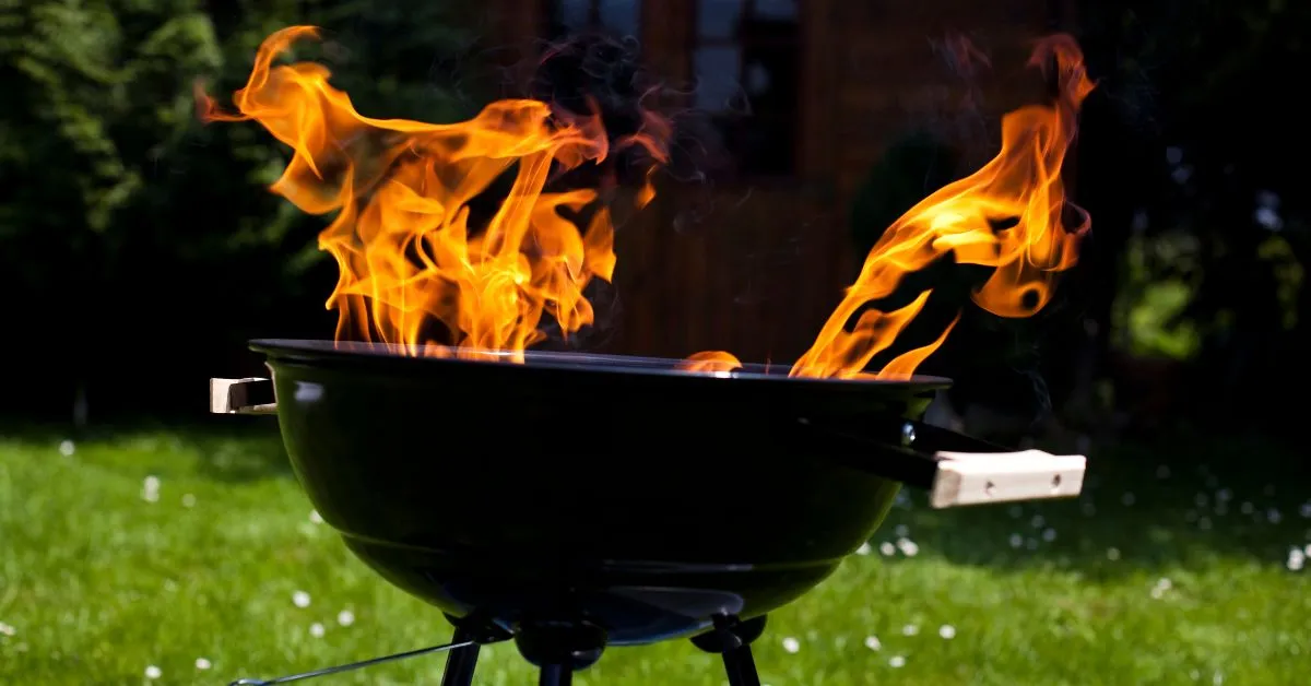 How To Put Out a Grill Fire Safely? (Ultimate Guide)